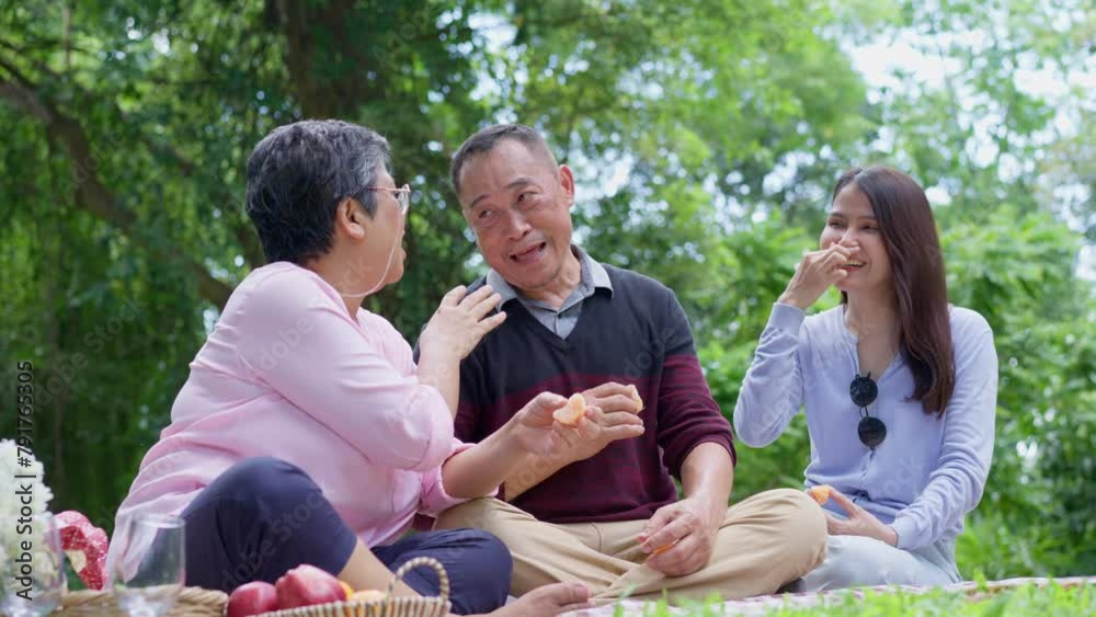 Daughter comes to visit parents and picnic in park, family, leisure and ...