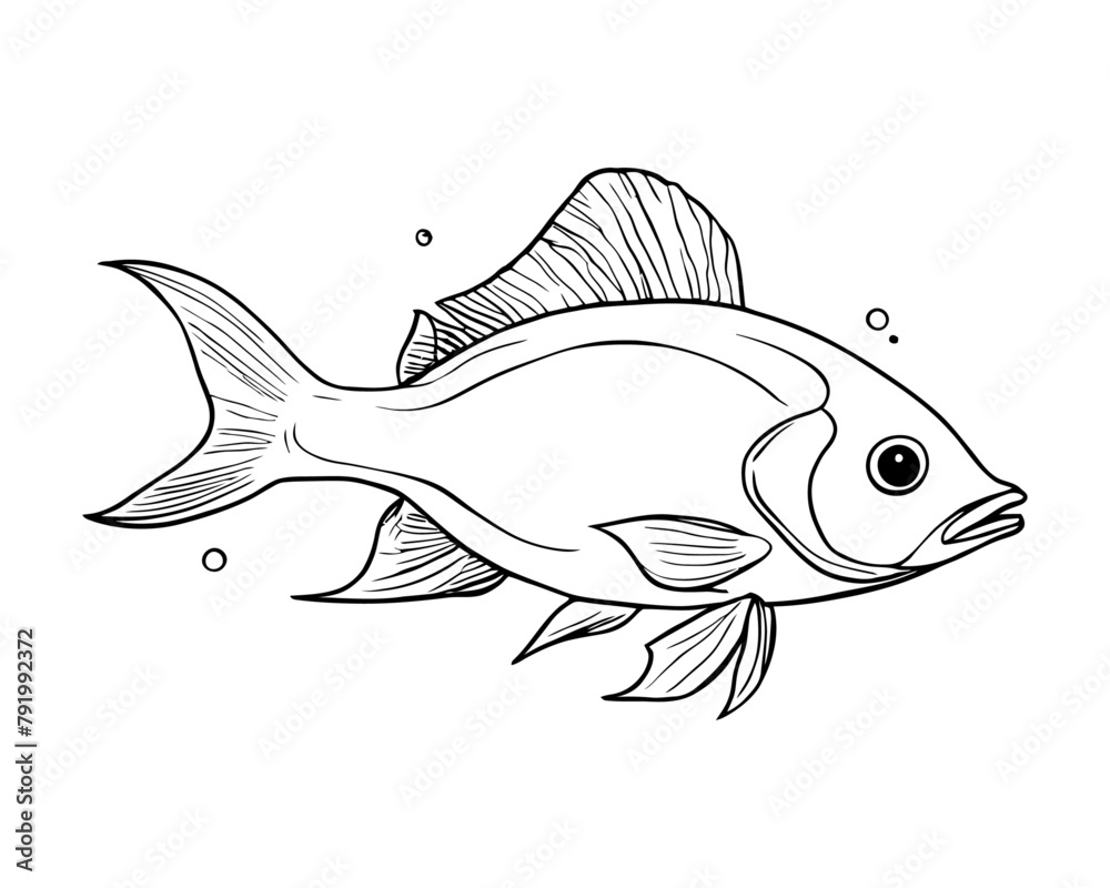 Outlined fishes. Sea and river species hand drawn. fish vector line art ...