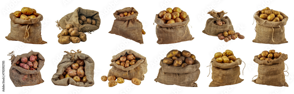 Variety of raw potatoes in burlap sacks cut out png on transparent ...