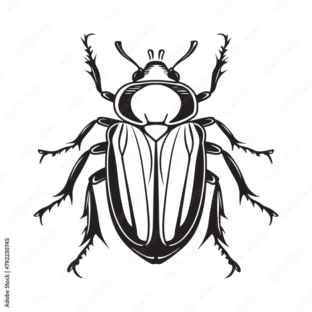 Beetle Vector Art, Icons, and Graphics illustration of a beetle Stock ...