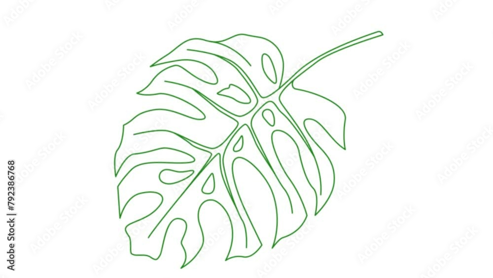 leaf icon animation. Animation of a branch . leaf logo. cartoon leaf ...
