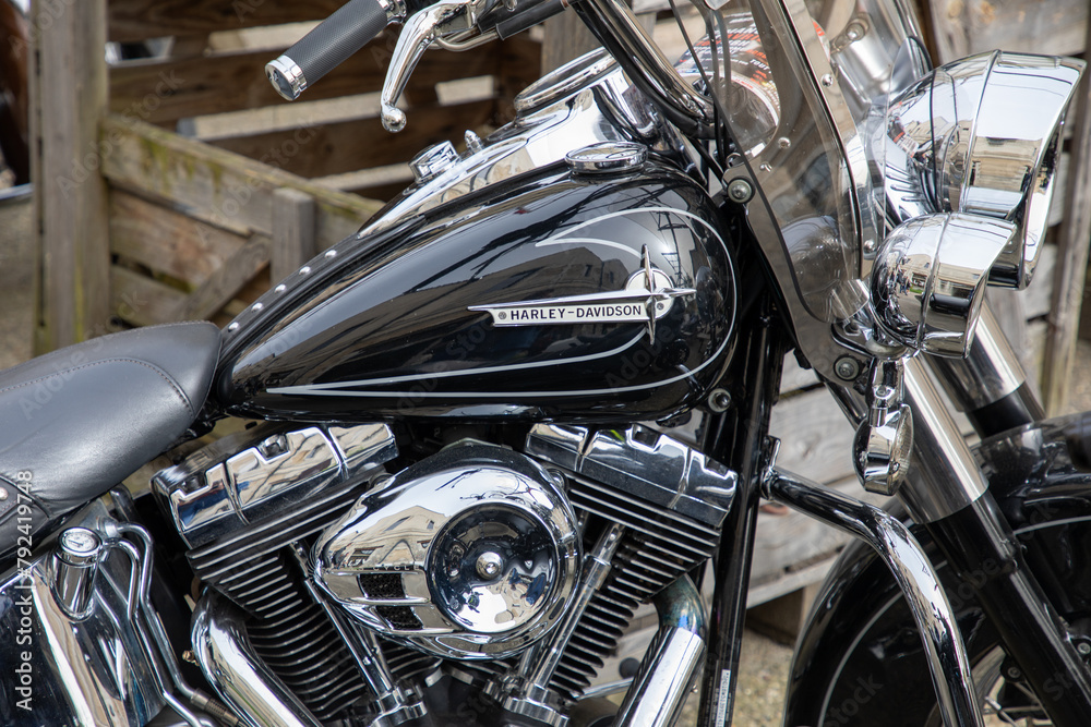 harley davidson logo text and brand sign on petrol custom modern tank ...
