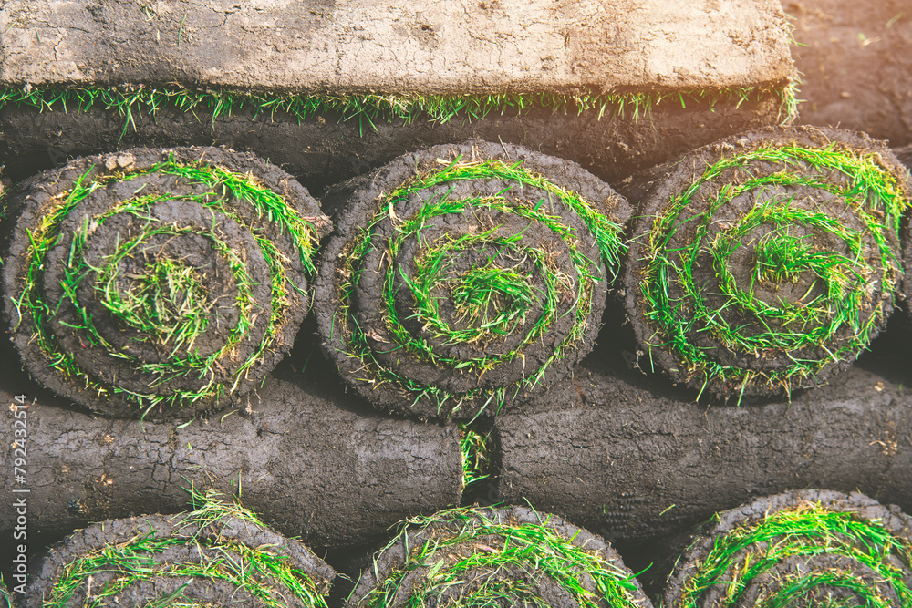 Pallet with rolls of sod turf grass. The rolled grass lawn is ready for ...