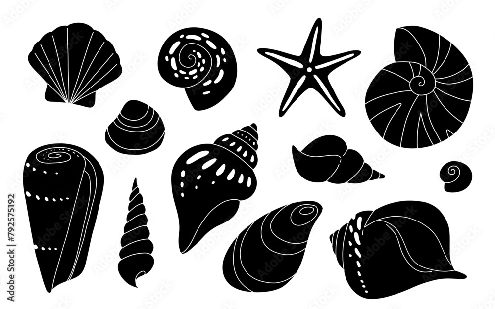 Sea shell cartoon set. Ocean exotic underwater seashell conch aquatic ...