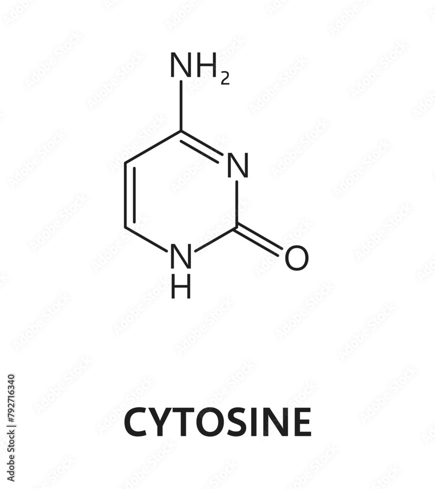 Cytosine Nucleic Acid Nitrogenous Base Nitrogen And Hydrogen Formula Dna Nitrogenous Base