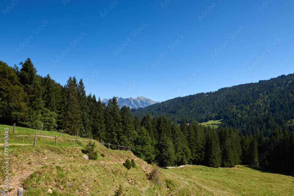 Alpine Meadows, Pine Forests, and the Azure Sky. Summer Meadows and ...