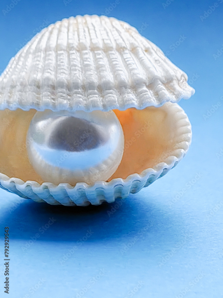 There is a large mother-of-pearl in a shell on a blue background Stock ...