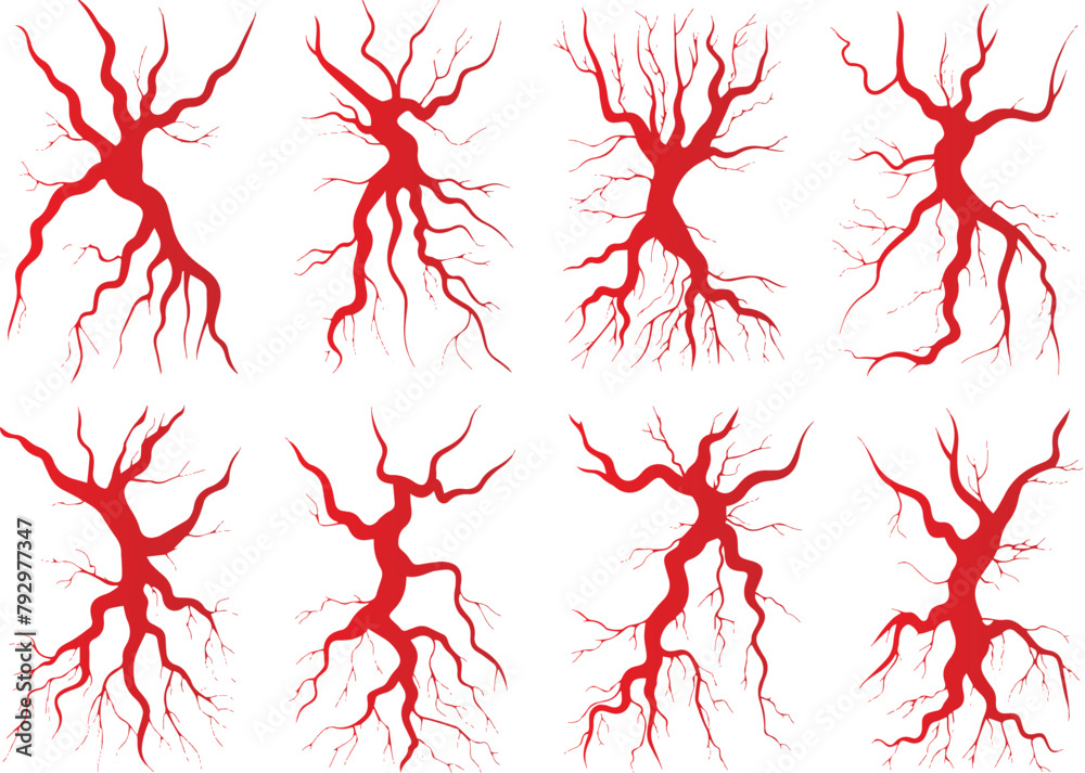 Vector illustration of human vascular system: Detailed depiction of ...
