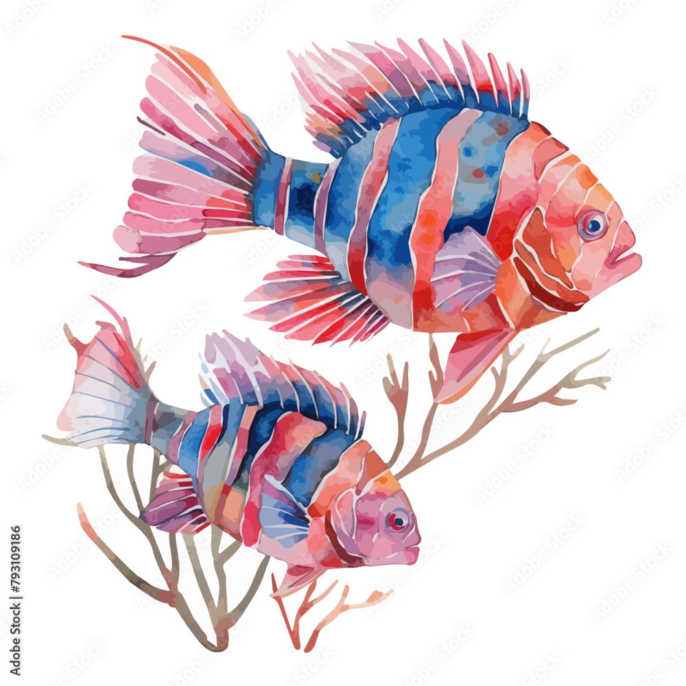 Watercolor clipart vector of coral fish (reef fish), isolated on a ...