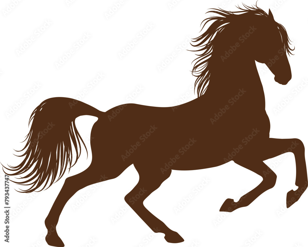 Kuda, Keledai, Zebra, Kuda Poni, Horse, Donkey, Zebra, Pony, Cavalo ...