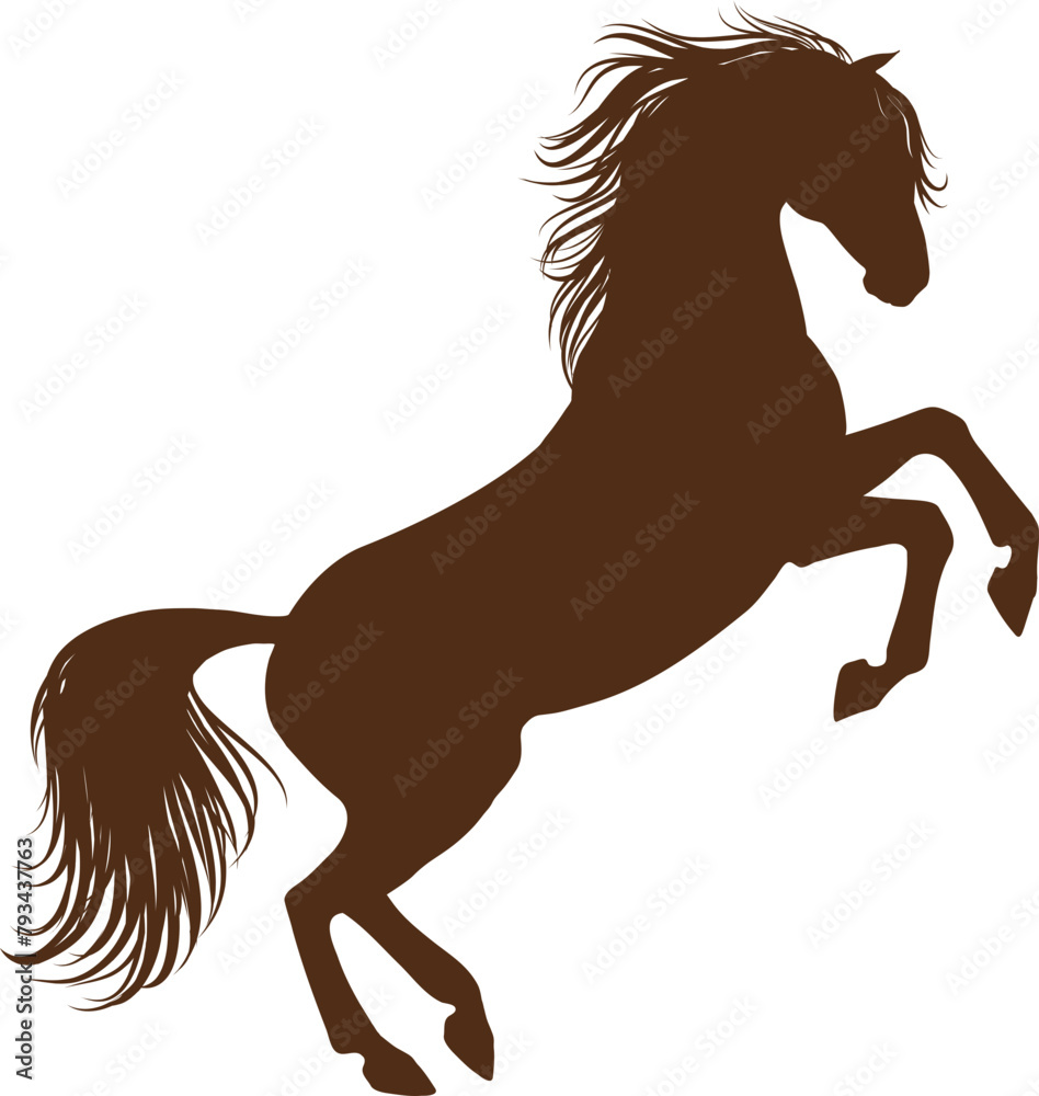 Kuda, Keledai, Zebra, Kuda Poni, Horse, Donkey, Zebra, Pony, Cavalo ...