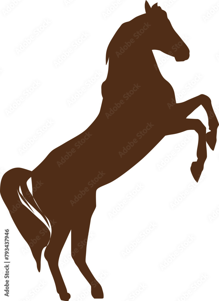 Kuda, Keledai, Zebra, Kuda Poni, Horse, Donkey, Zebra, Pony, Cavalo ...