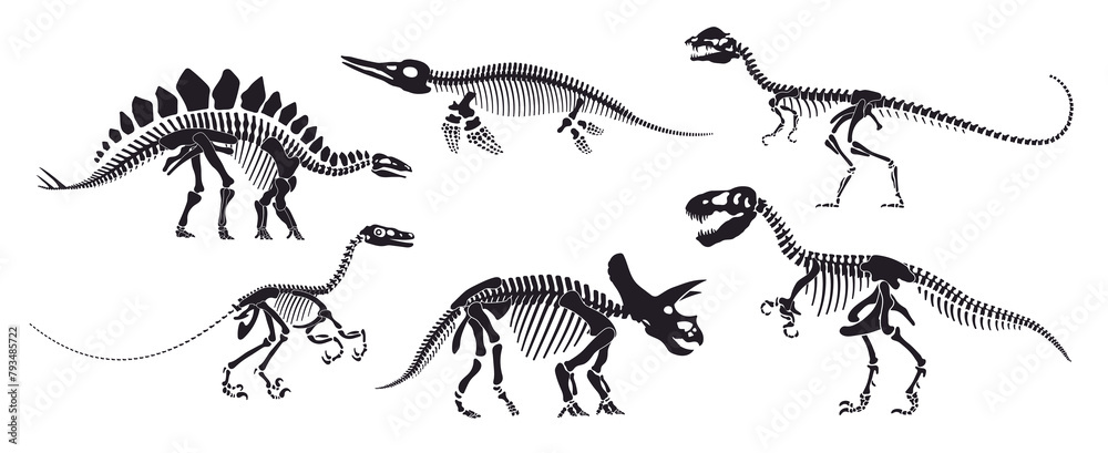 Dinosaur skeleton fossil, isolated dino bones. Vector reptile animal ...