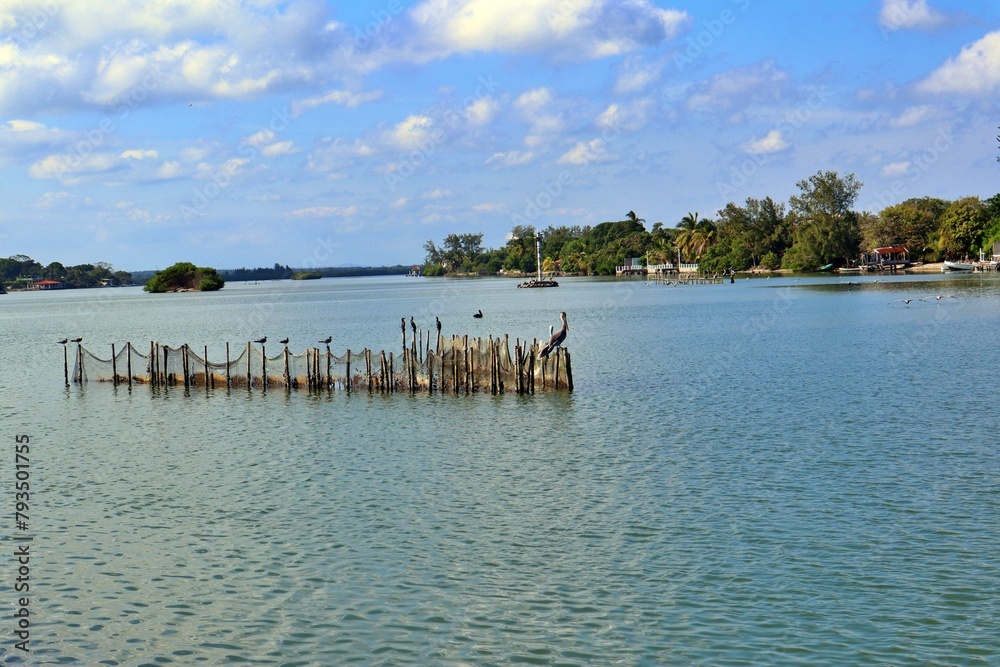 barca, acuático, naval, río, carga, azul marino, embelesado, orilla ...