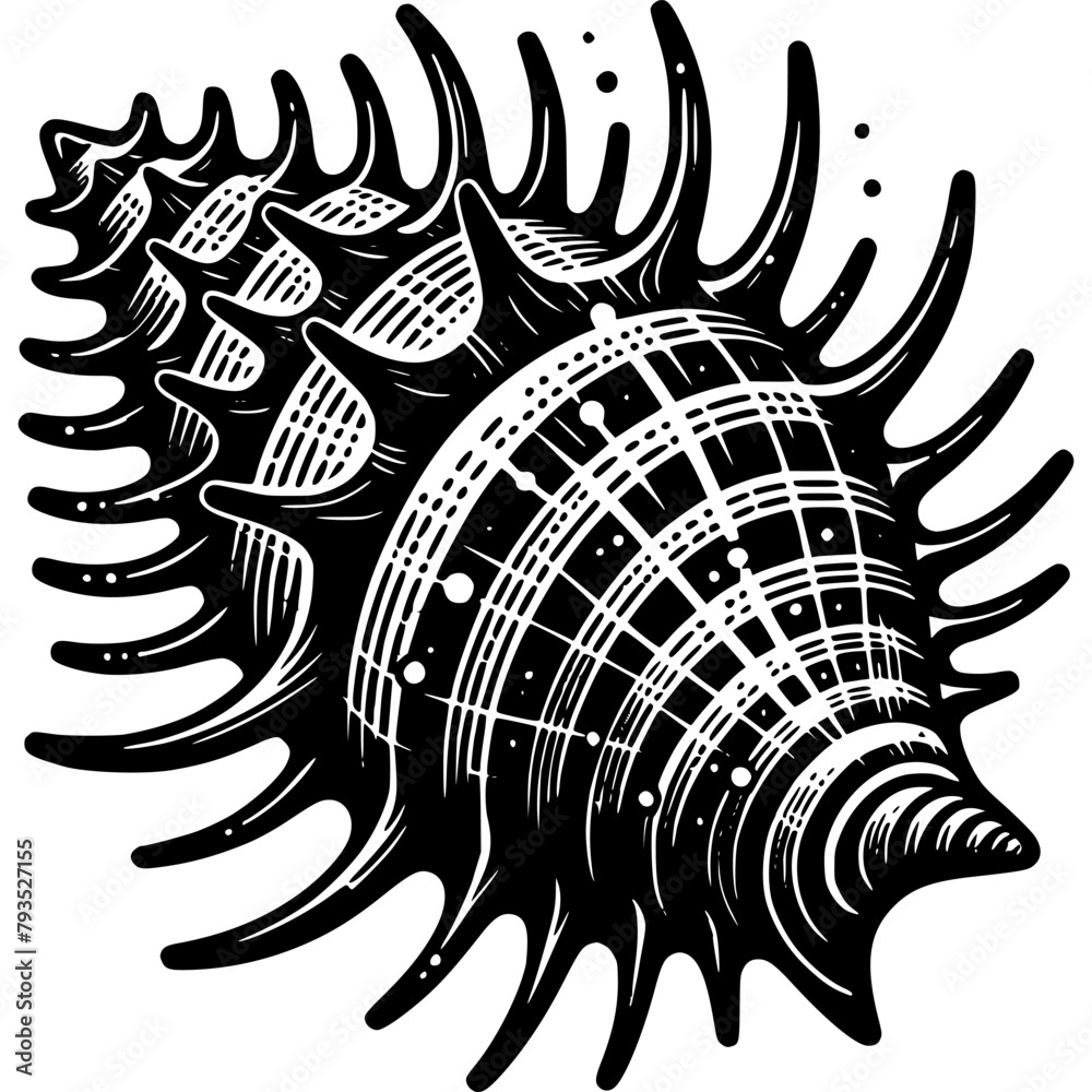 Spiral spiny mollusk shell in monochrome. Exotic shell souvenir. Simple ...