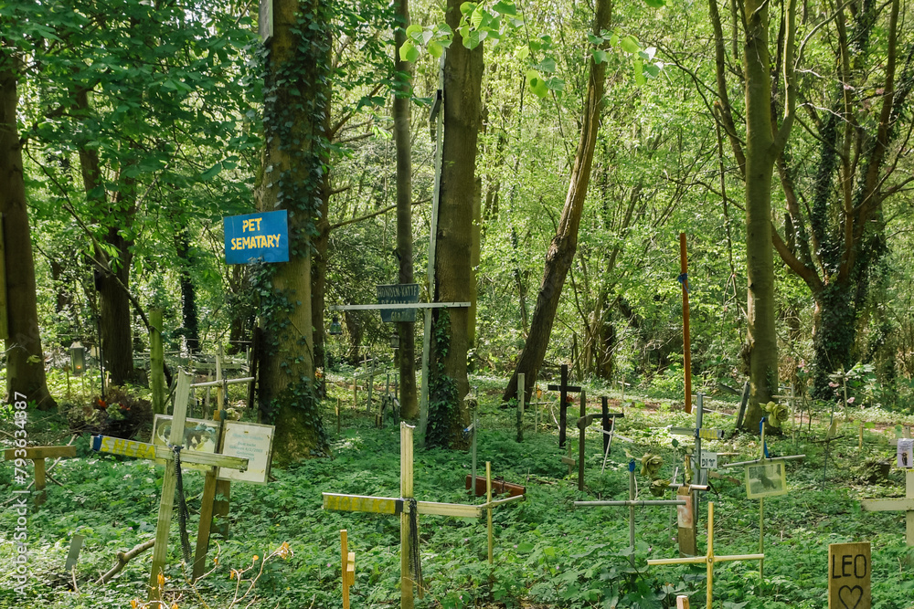 Photo & Art Print Pit cemetery with many crosses and a sign that says ...