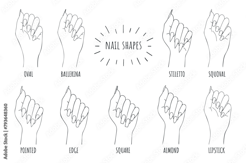 female palms vector set. nail shapes vector outline. female wrist with ...