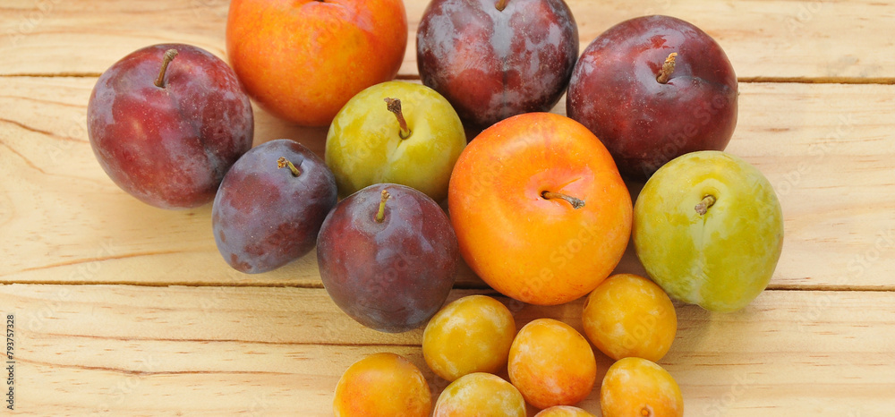 Variétés de prunes Stock Photo | Adobe Stock