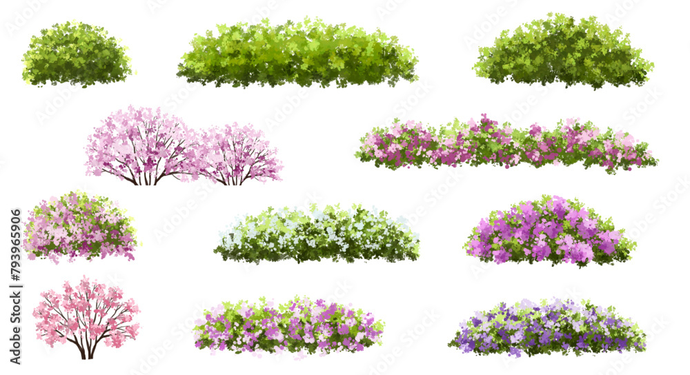 Vector watercolor blooming flower tree or forest side view isolated on ...