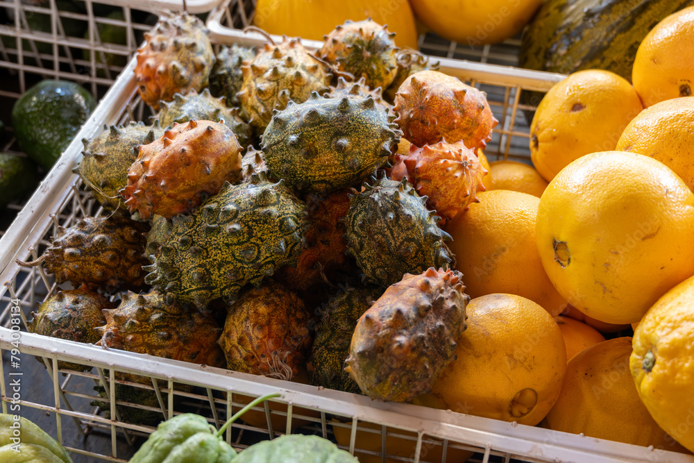 Kiwano tropical fruit, African horned cucumber, horned melon, spiked ...