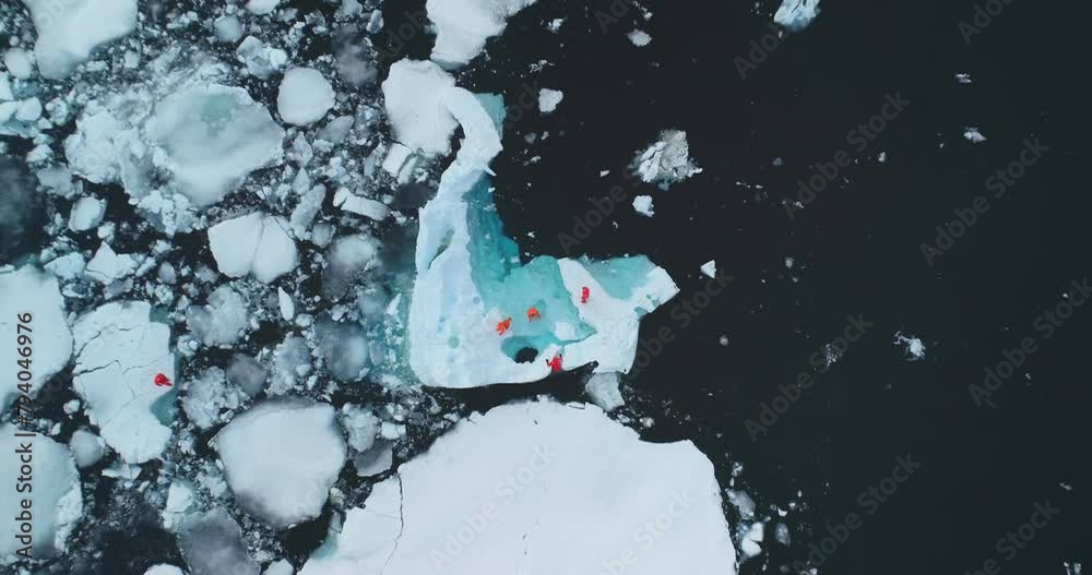 People swimming arctic ice ocean aerial view. Scientists explore global ...