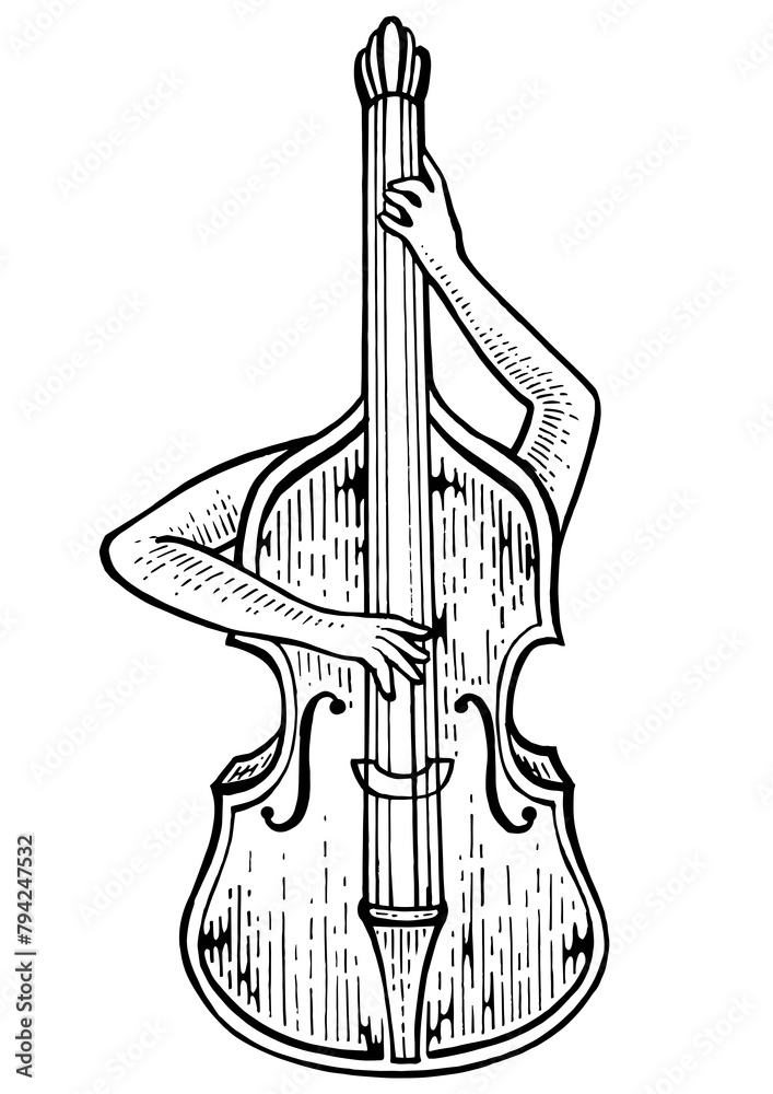 Double bass violin alto cello string instrument plays on itself sketch ...