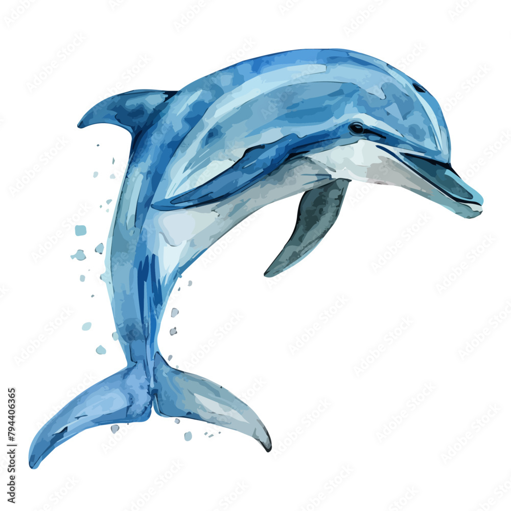 Watercolor Vector painting of a dolphin, isolated on a white background ...