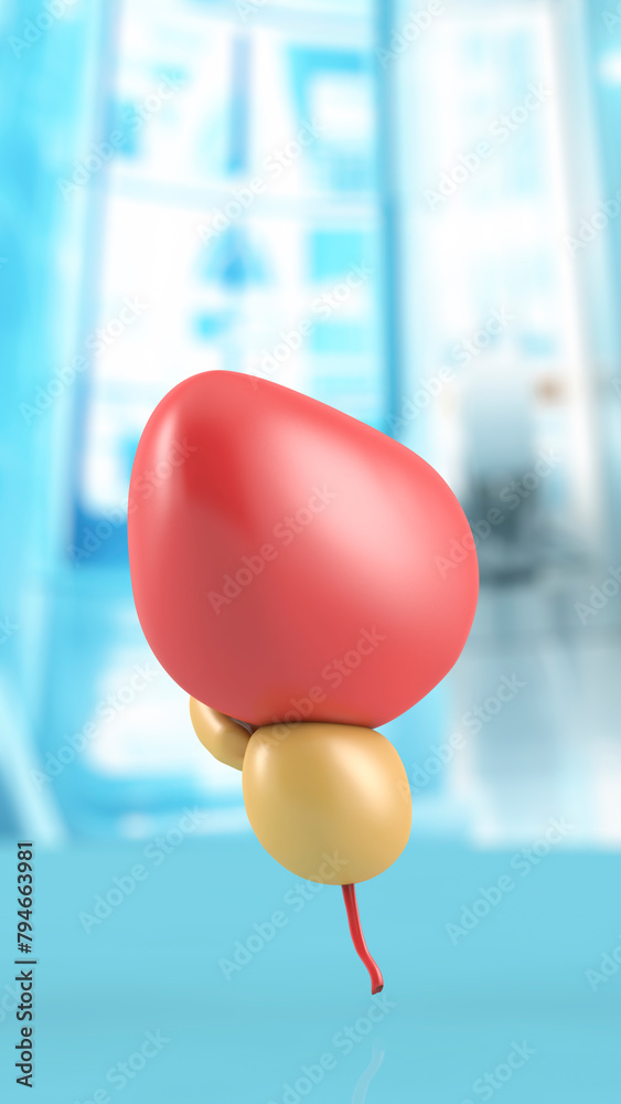 Prostate disease and treatment. Anatomical model of the male ...