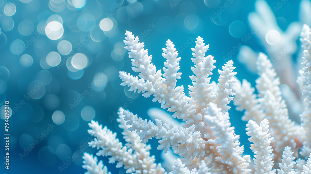 Coral Bleaching on the Great Barrier Reef, Coral bleaching climate ...