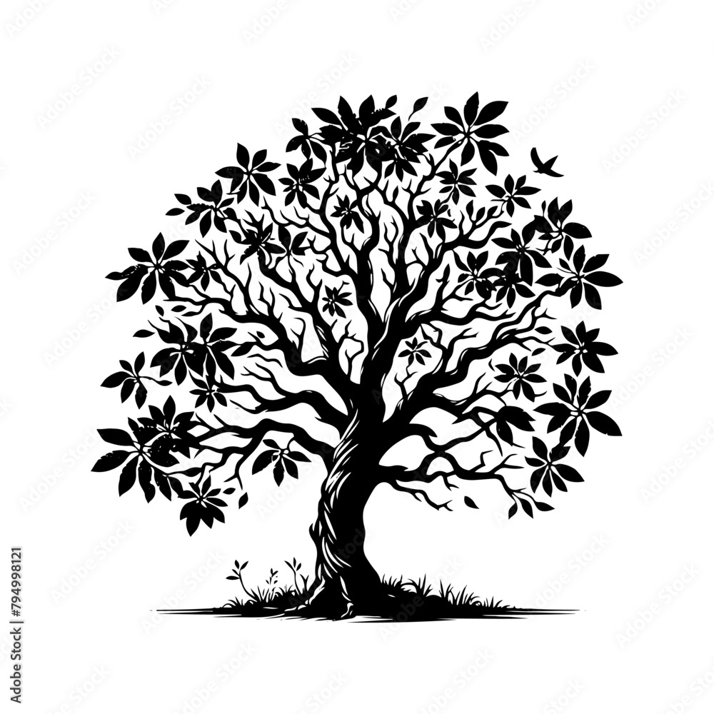 Walnut Tree Vector Silhouette Illustrating the Tranquil Presence of ...