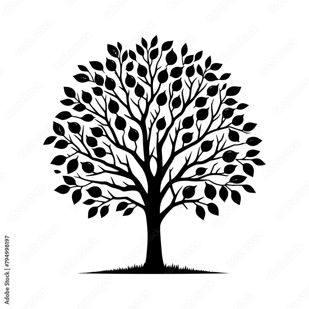 Walnut Tree Vector Silhouette Illustrating the Tranquil Presence of ...