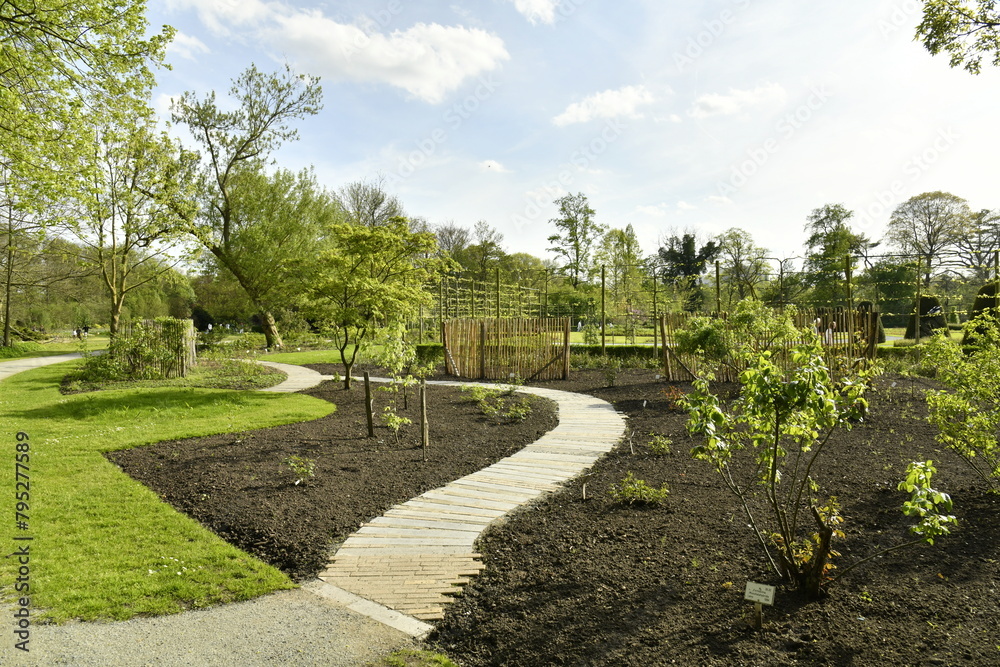 Chemin courbé traversant une nouvelle parcelle de terre au ...
