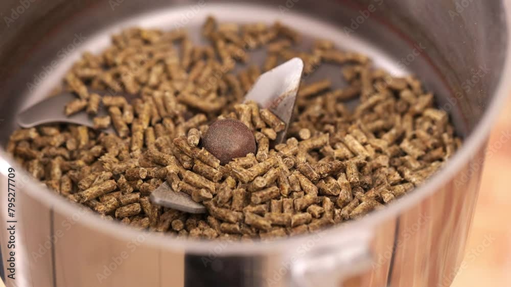 Farmer pouring and preparing compound feed for indoors poultry into ...