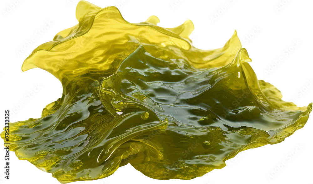 seaweed isolated on white or transparent background,transparency Stock ...