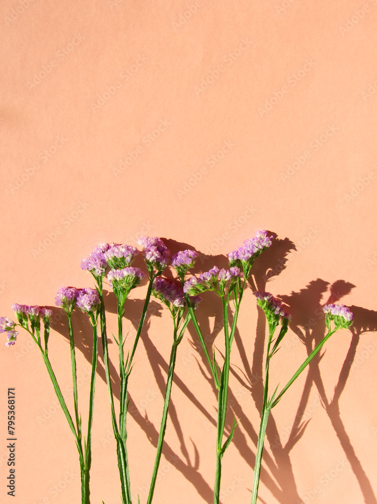 Purple flower on peach background. Purple limonium flowers on peach ...