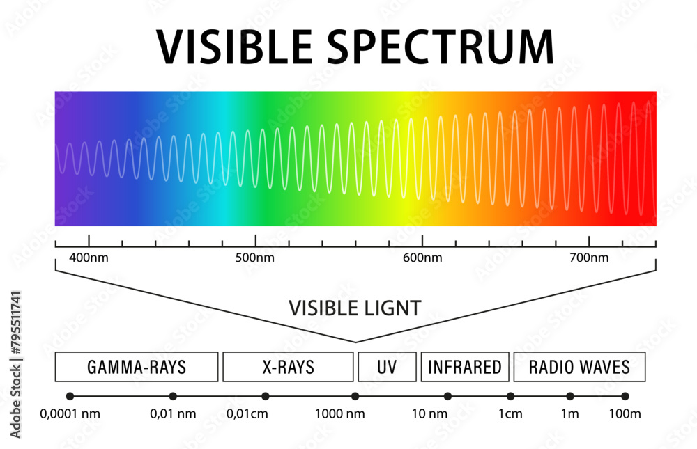 Visible light diagram. Color electromagnetic spectrum, frequency of ...