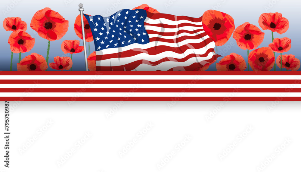 american flag and poppy flowers, USA patriotic banner, background, web ...