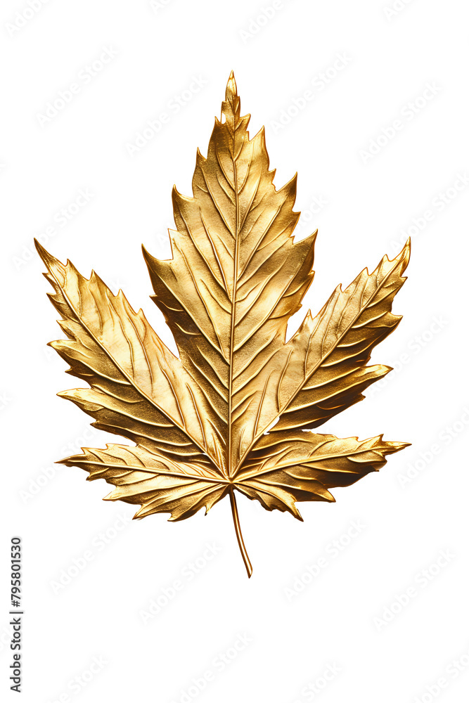 golden leaf against a black background, which gives it a striking ...