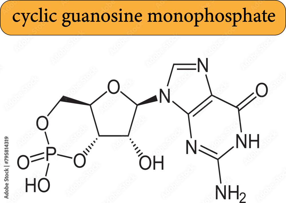 Structure Of Cyclic Guanosine Monophosphate Vector Illustration Structure Of Cyclic Guanosine