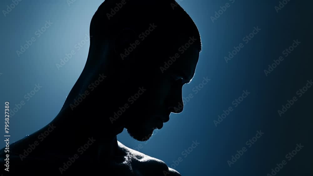 The interplay between light and dark is captured in this image of a ...