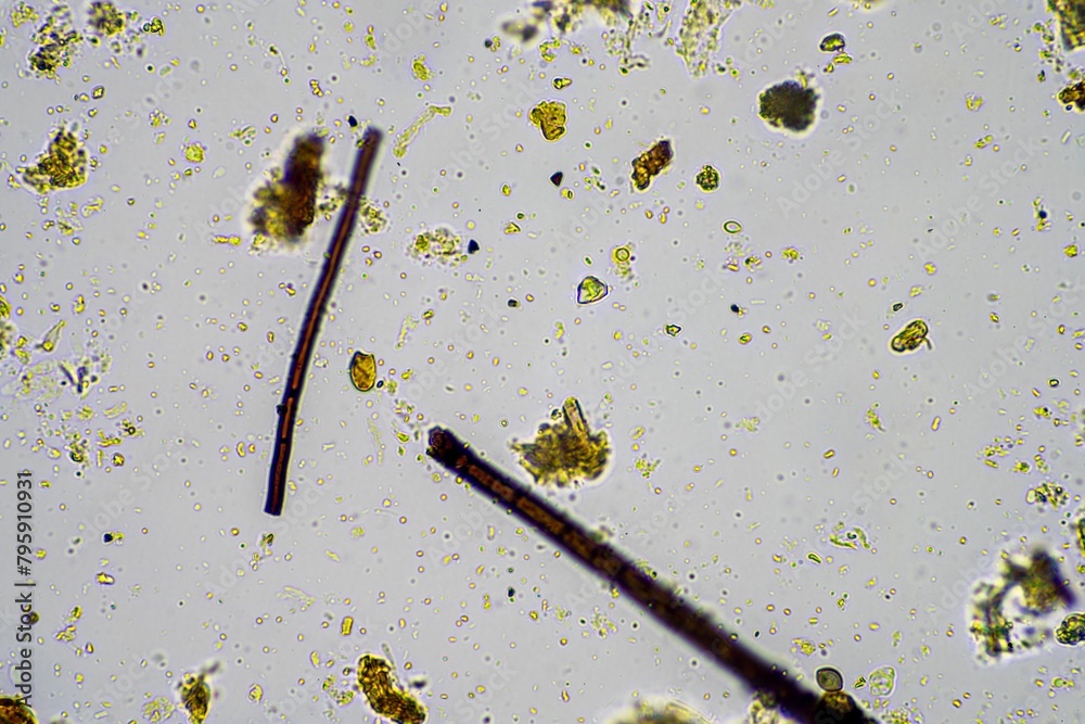 turning a compost pile in a community garden. compost full of ...