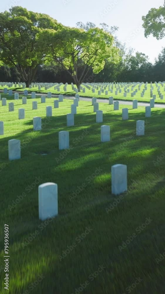 Vertical video. Peaceful eternity concept. Los Angeles National ...