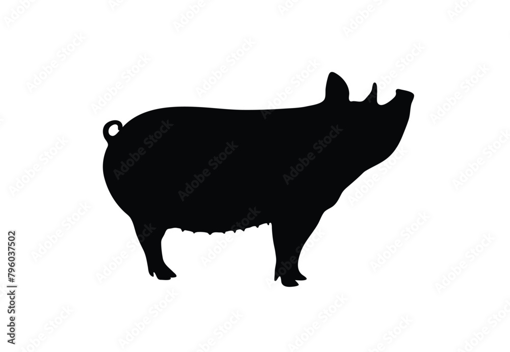 Pig silhouette, vector illustration of a black icon, pig silhouette ...