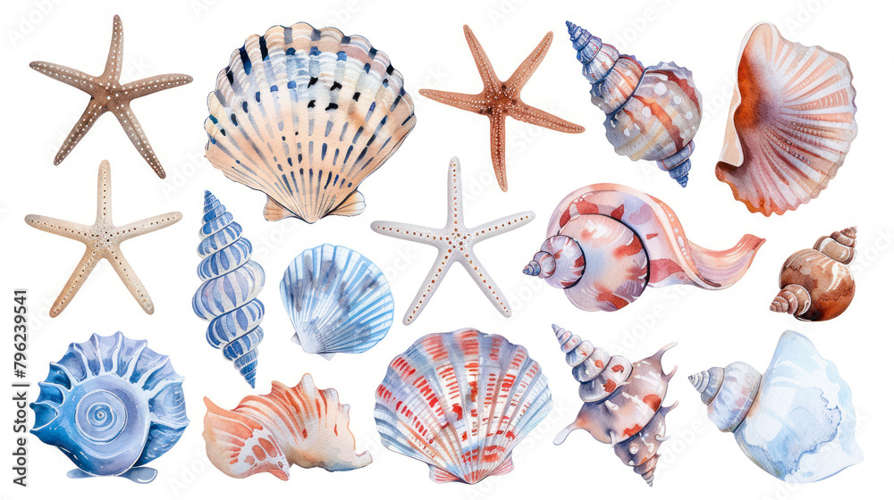 Watercolor Seashells clipart isolated on white background. sea clipart ...