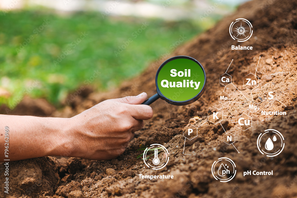 Magnifying glass check Soil quality to control of soil health that ...