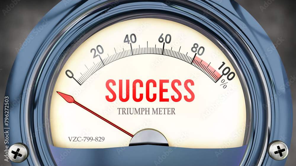 Success and Triumph Meter that hits less than zero, showing an ...
