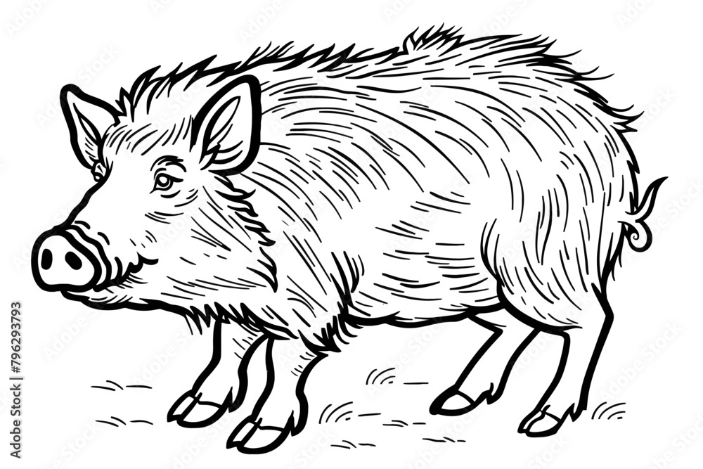 basic cartoon clip art of a Wild Boar, bold lines, no gray scale ...