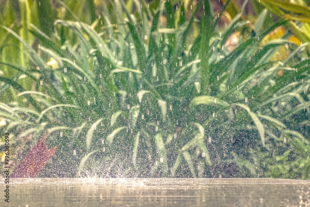 rain falling on timber deck, green garden plant background, outdoors ...
