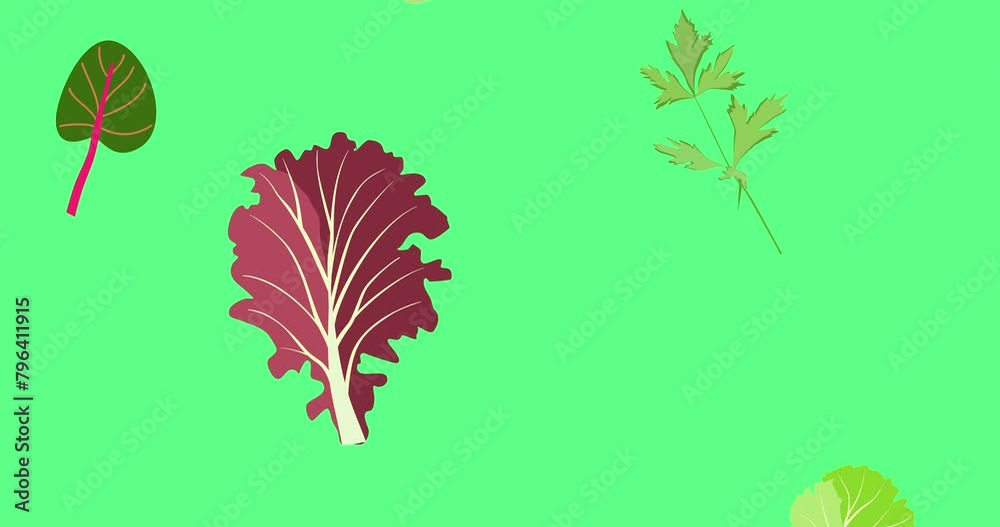 Flying salad leaves animation. Cartoon set green red raw leaves on ...