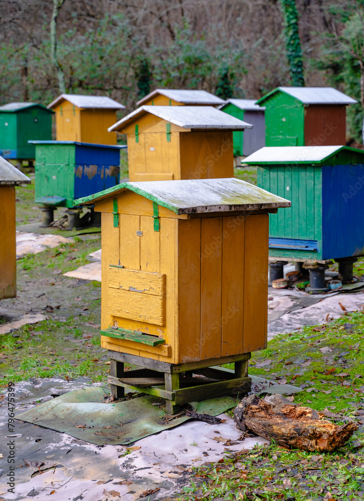 Traditional apiary in the forest. Raws of wooden, colorful bee hives ...